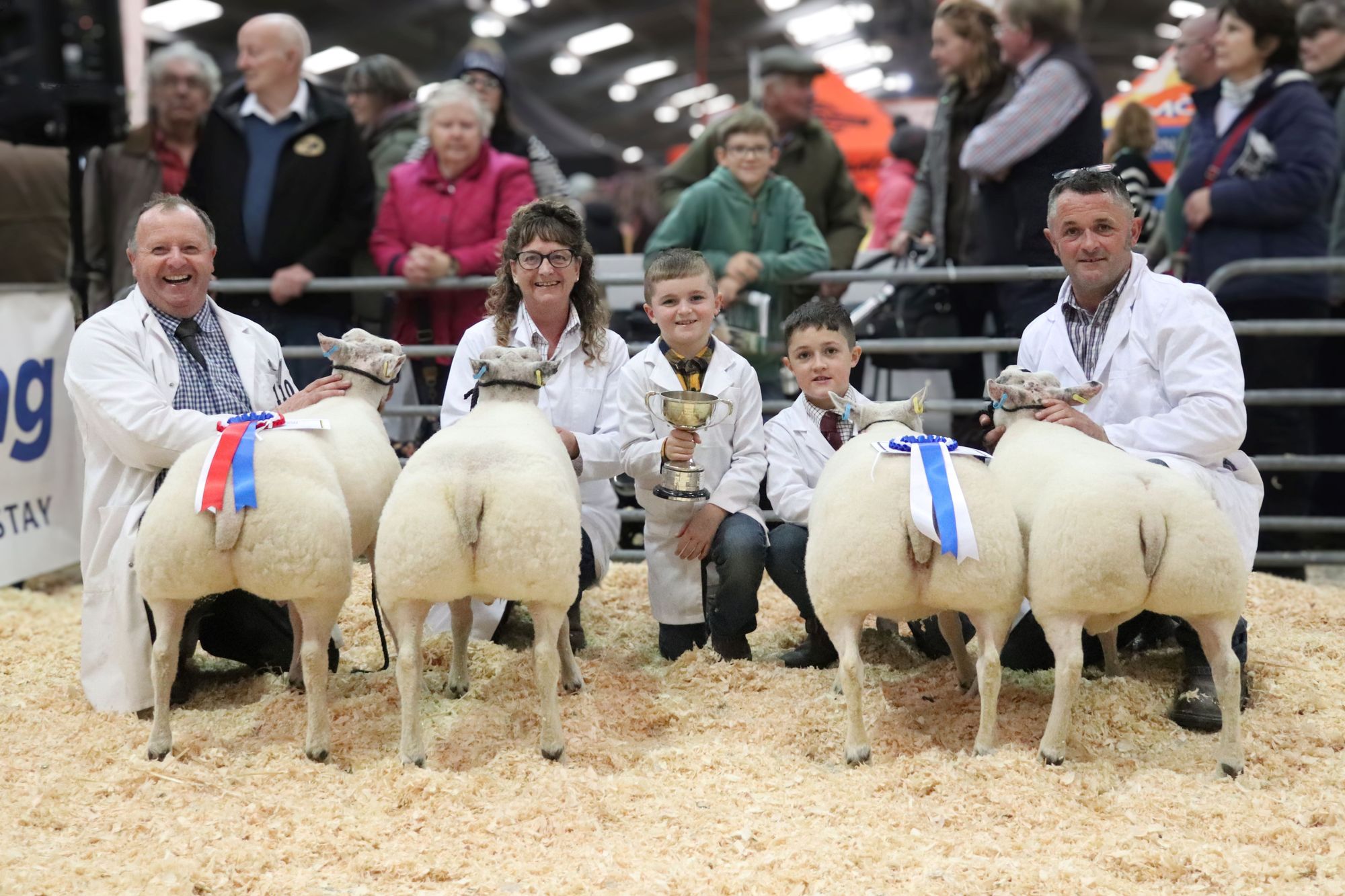 Royal Cornwall Show 2024 - Cornwall's BIGGEST Annual Event