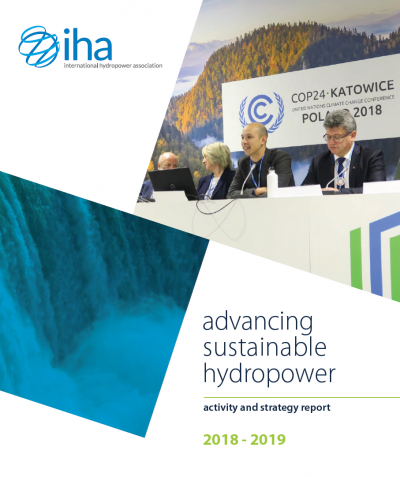 IHA Activity and Strategy Report 2018-2019