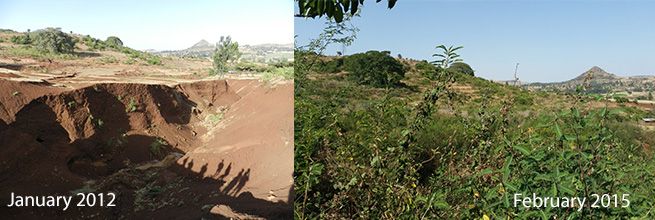 The Grand Ethiopian Renaissance Dam is designed to trap 100 years of ...