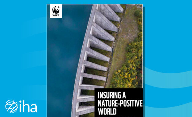 WWF report urges insurers to help improve hydropower’s sustainability ...