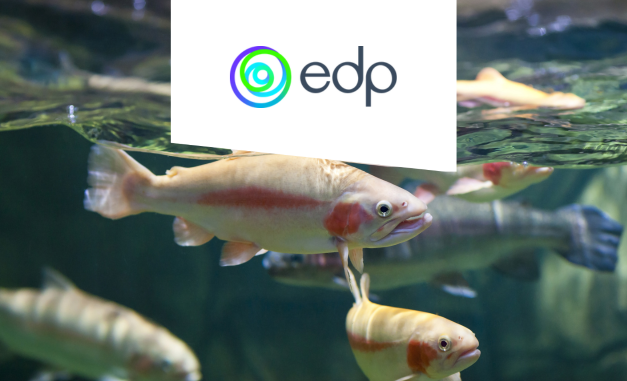 Global Hydropower Day - Fish Conservation