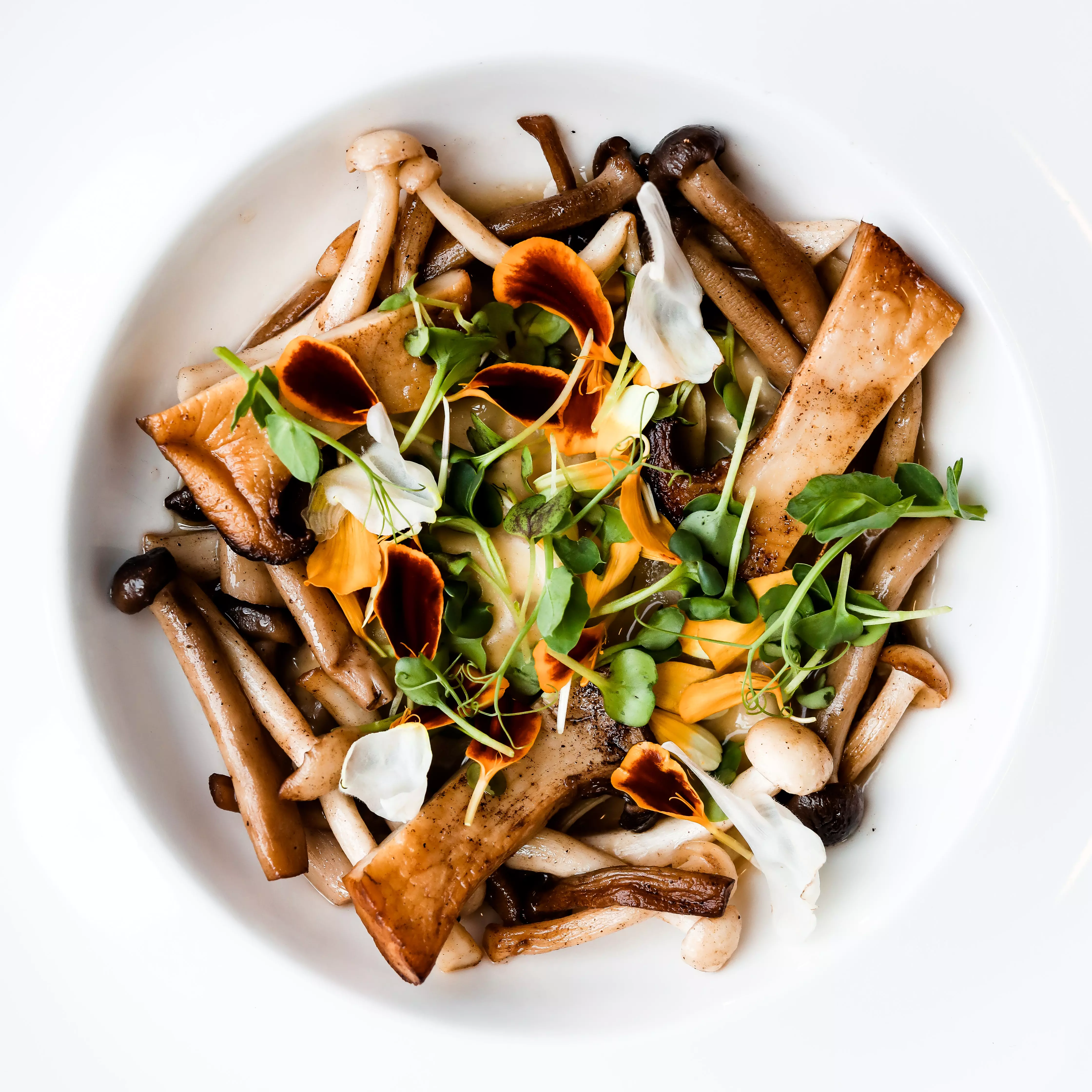 Great - Traiteur Événementiel Depuis 2011