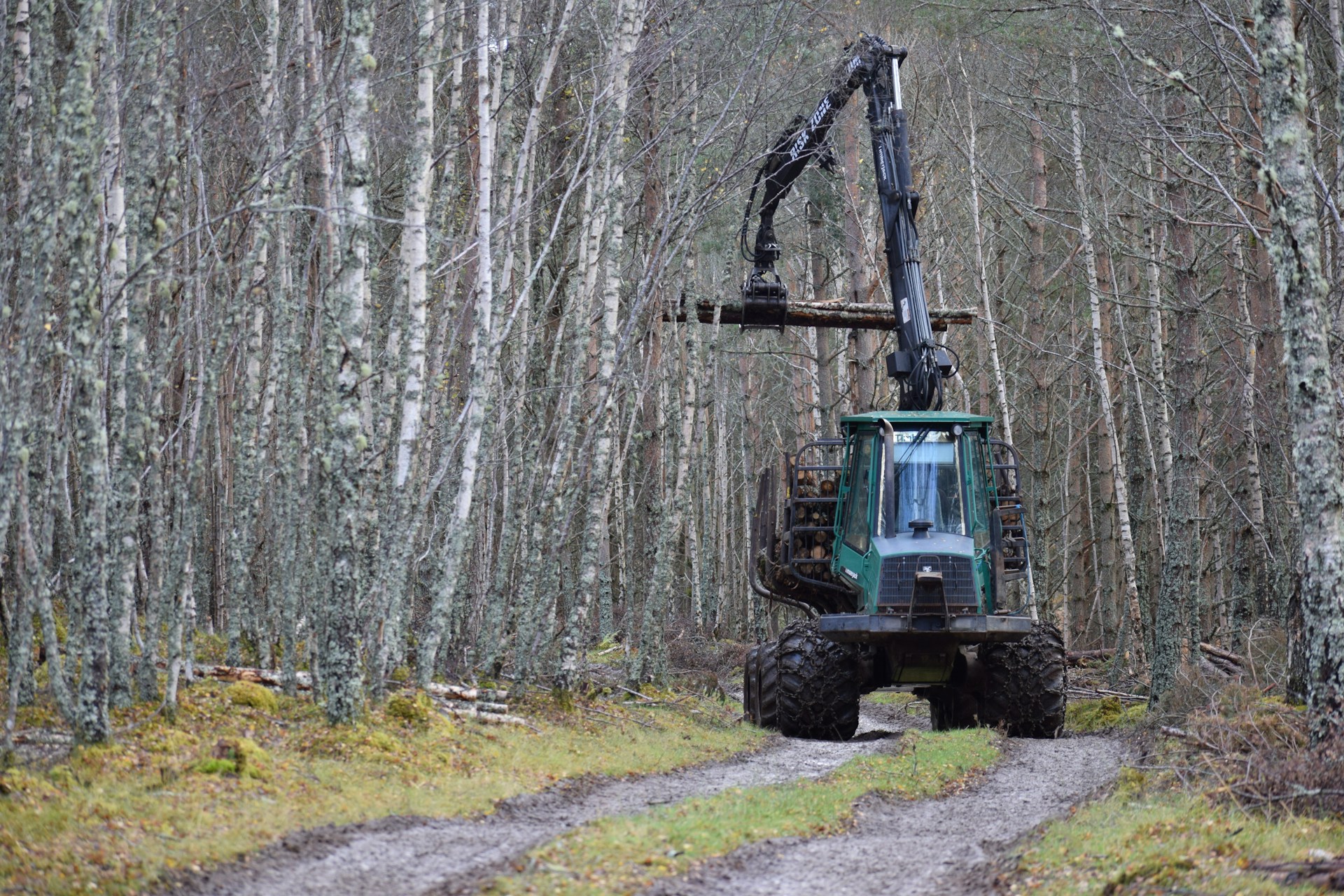 Metal Surface Treatment for Forestry & Mining