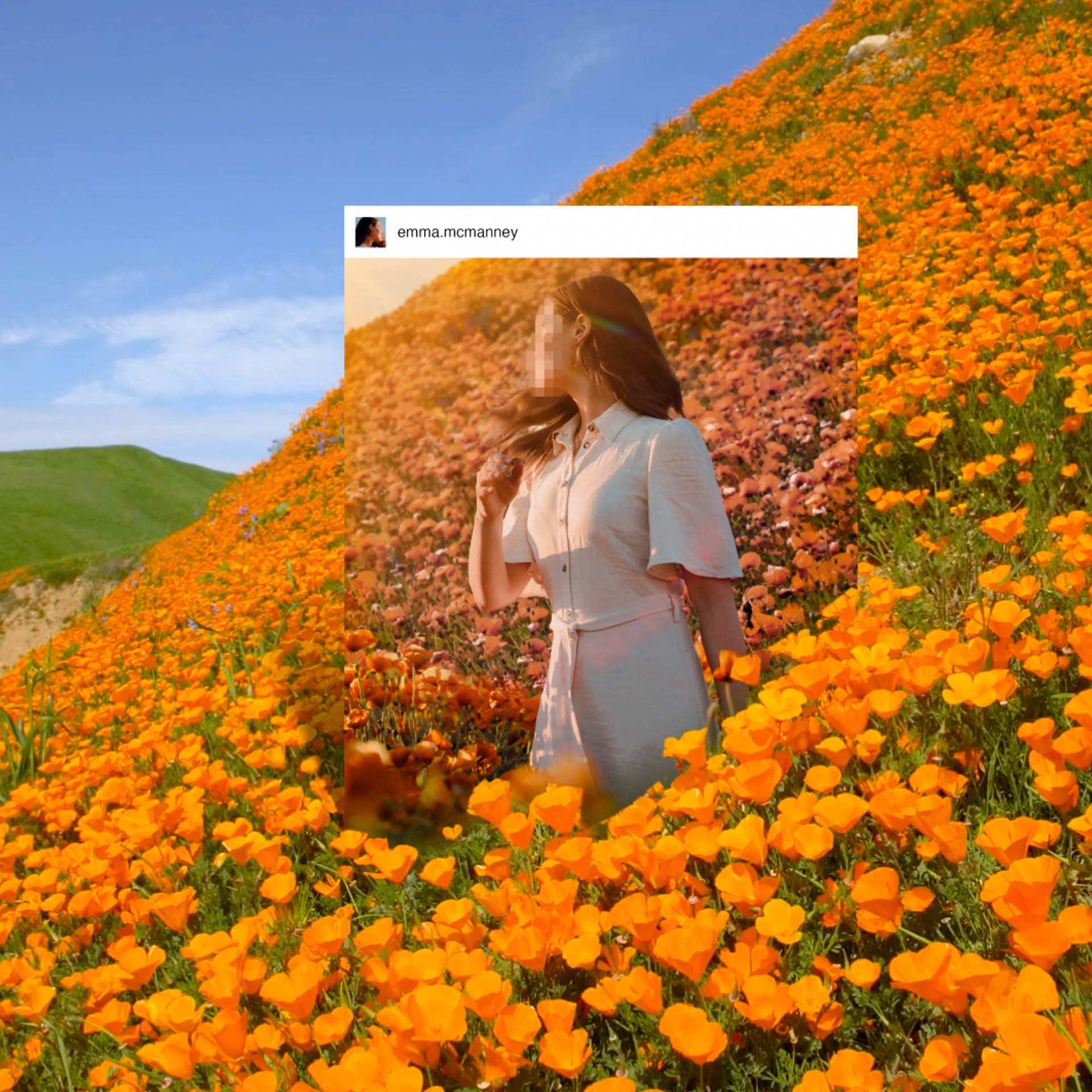 Studio Plankton - Work - Fledge