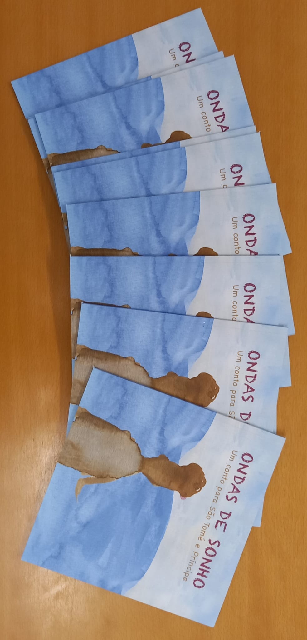 SOMA | Surf Diary - The story behinds SOMA book by Filipa Rebelo.