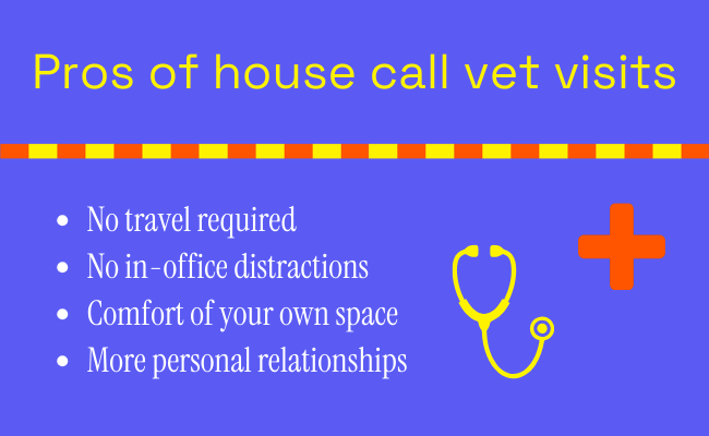 Pros and cons of house call veterinarian services