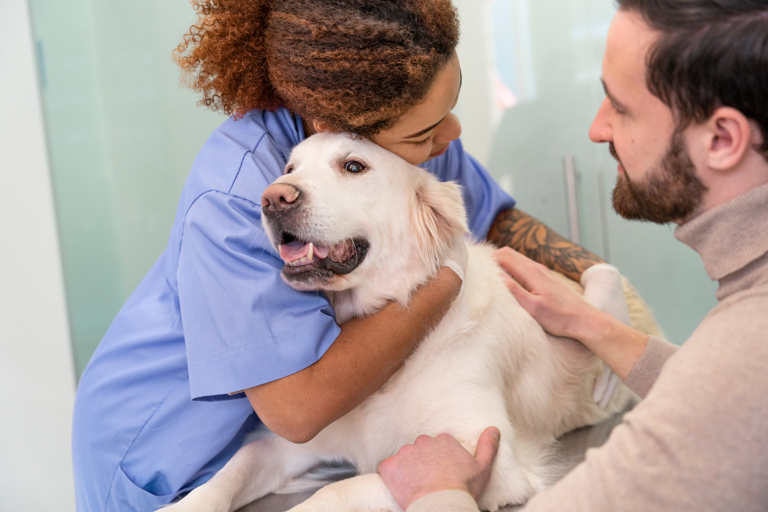 Urgent Pet Care Services | Bay Area Veterinary Care, Gibsonton, FL. Our ...