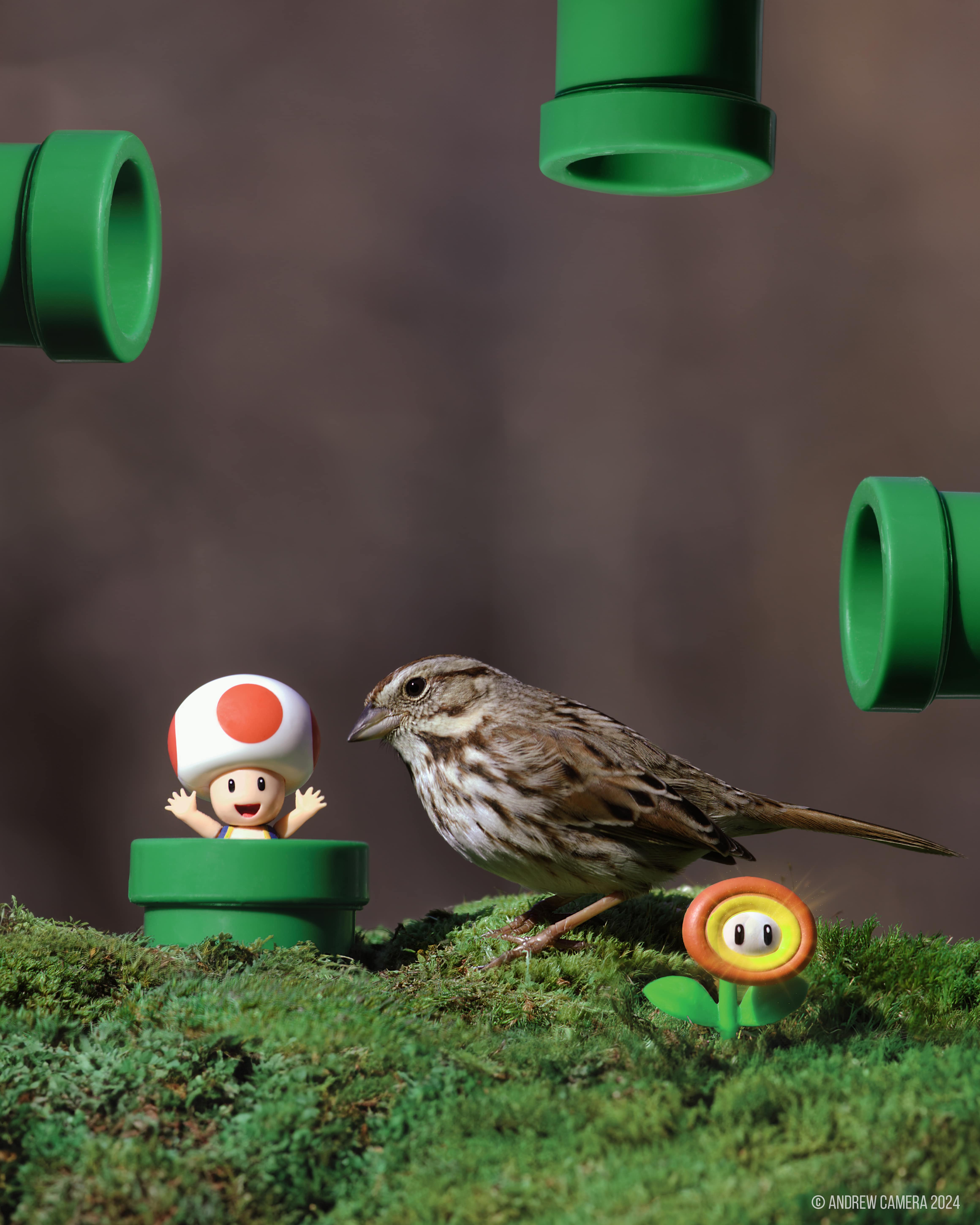 Toy MiniNatures | Warp Pipe Surprise