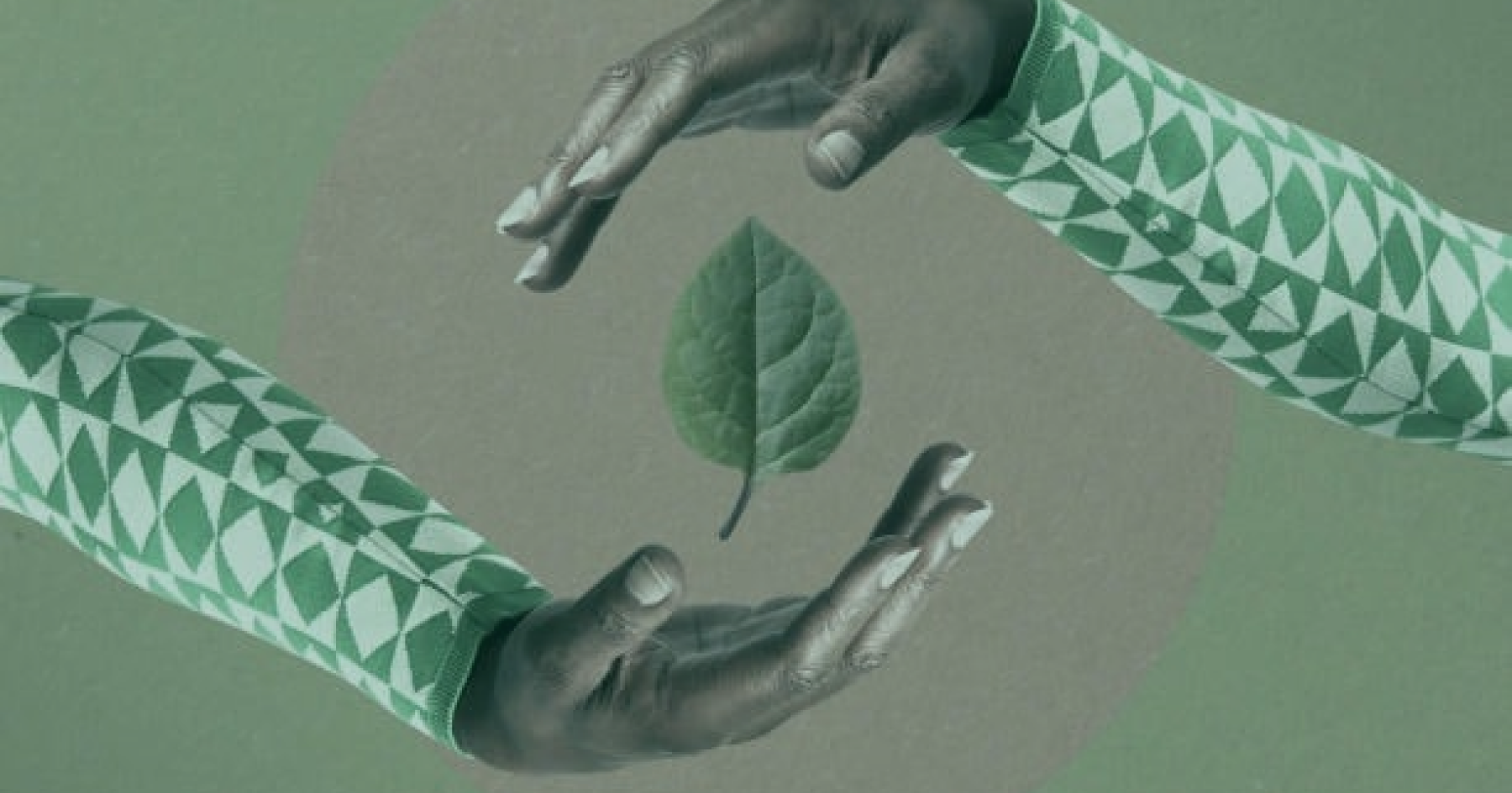 UK Green Code: An Essential Guide | Arbor