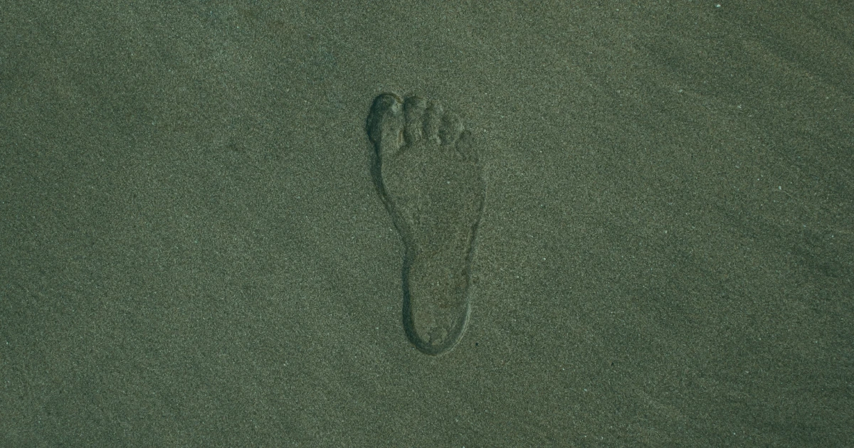 Product Environmental Footprint Category Rules (PEFCR) | Arbor