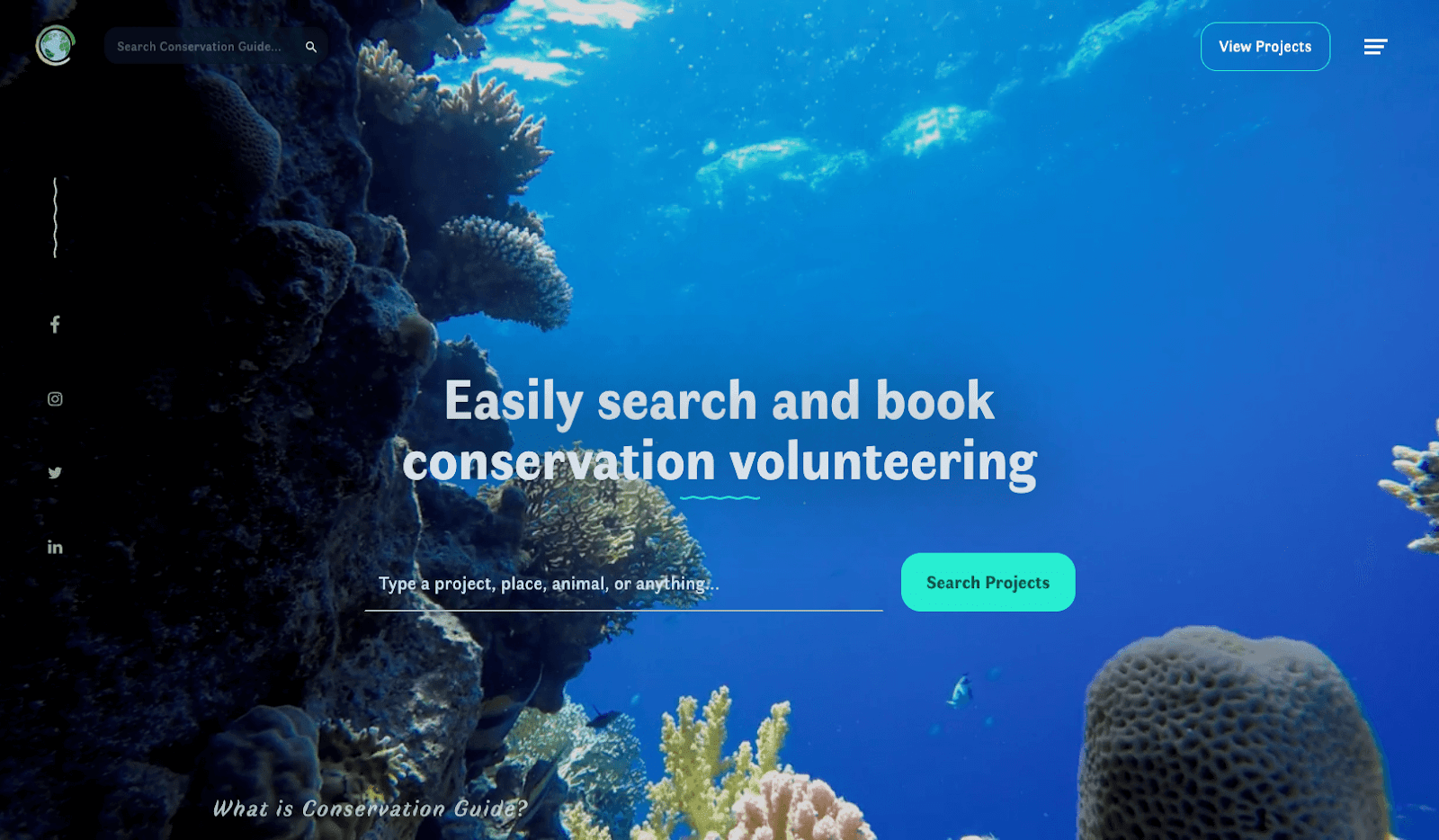12 Stunning Webflow Examples That Show Just How Versatile the Website ...