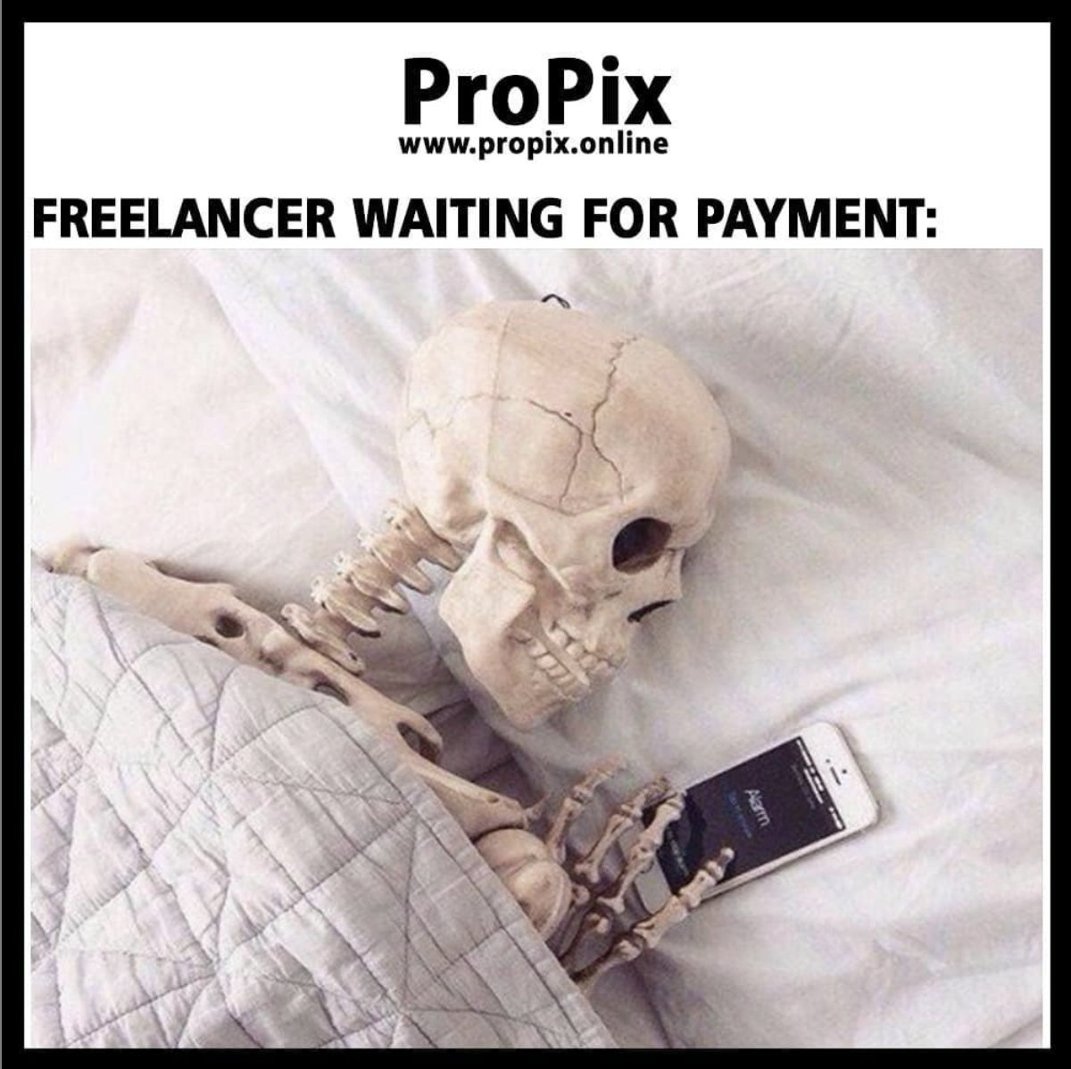 21 of the Best Freelance Memes