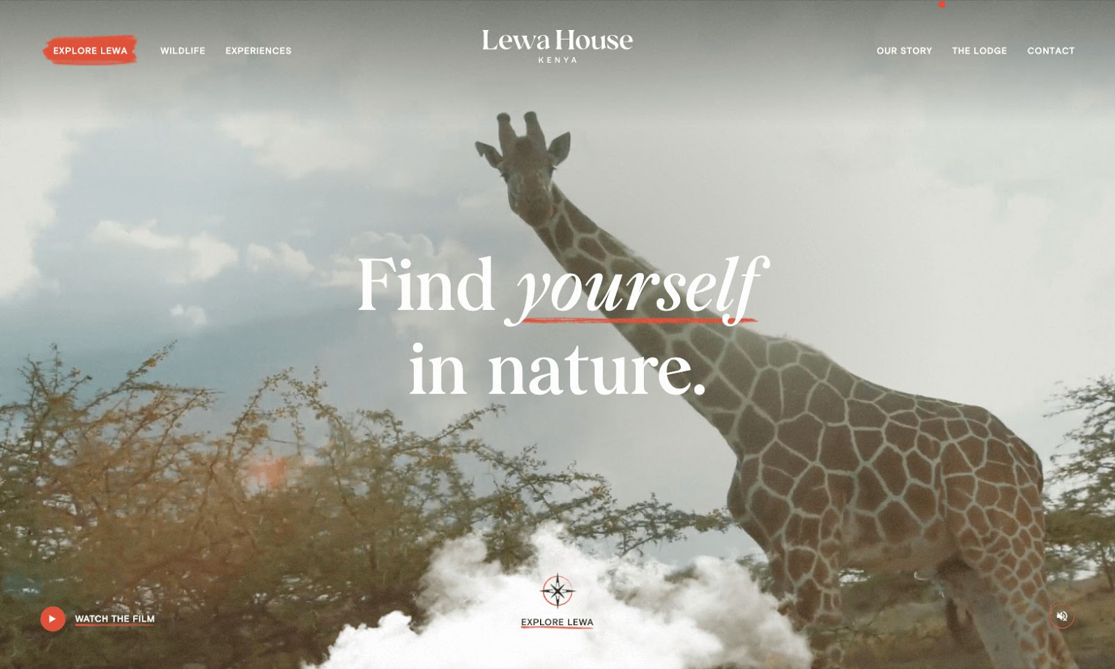 Top 8 Websites of 2021 That Every Web Designer Should Visit