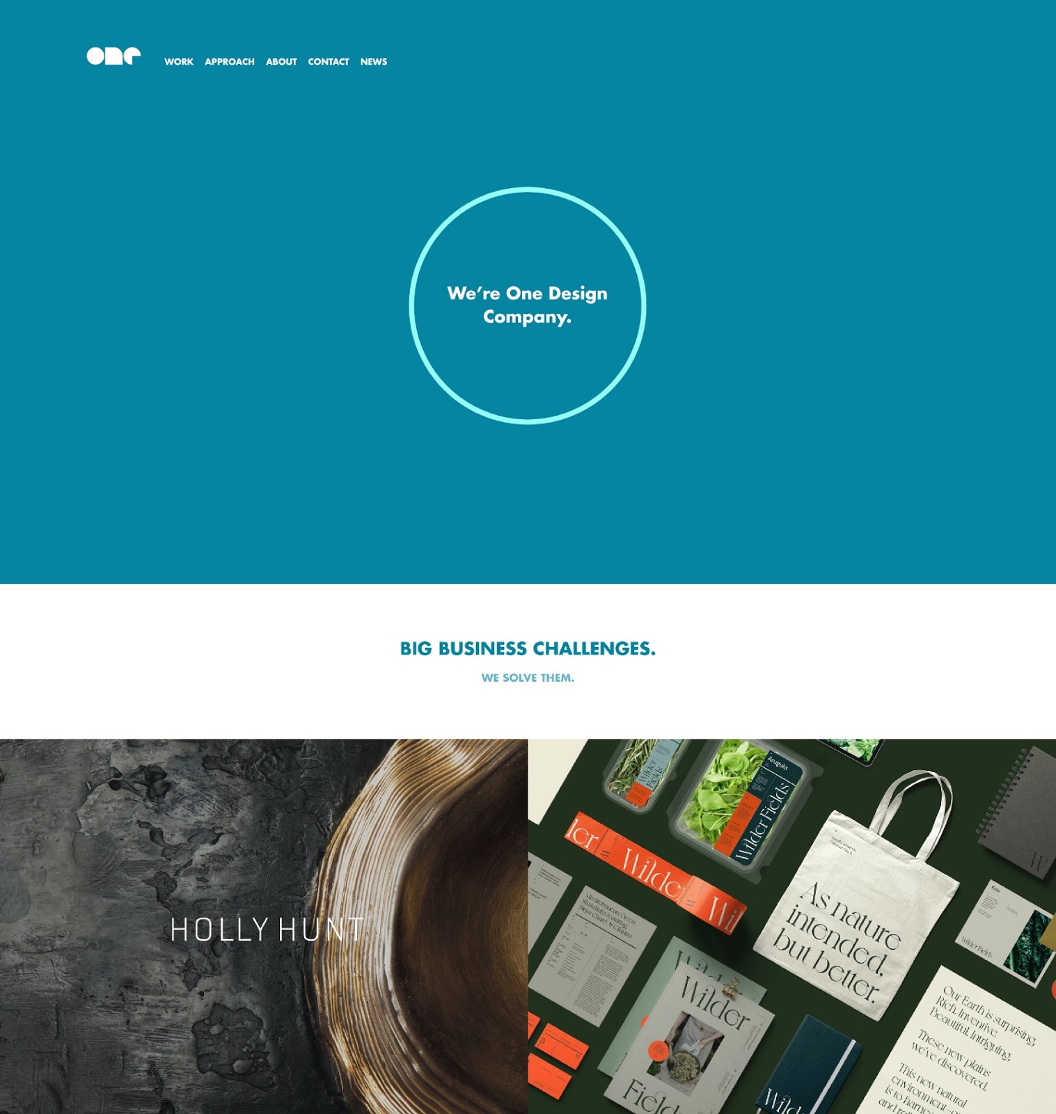 Web Design Portfolio Examples