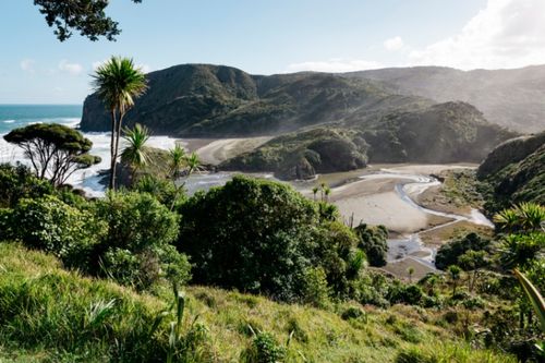 Waitakere Ranges Regional Park: Hike, Surf, Swim, Relax | Rainbow Games ...