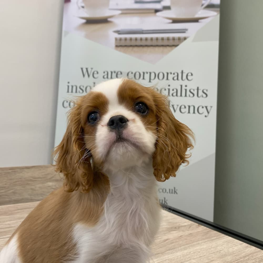 About Parker Walsh | Insolvency & Business Recovery Specialists