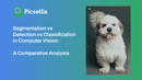Segmentation vs Detection vs Classification in Computer Vision ...