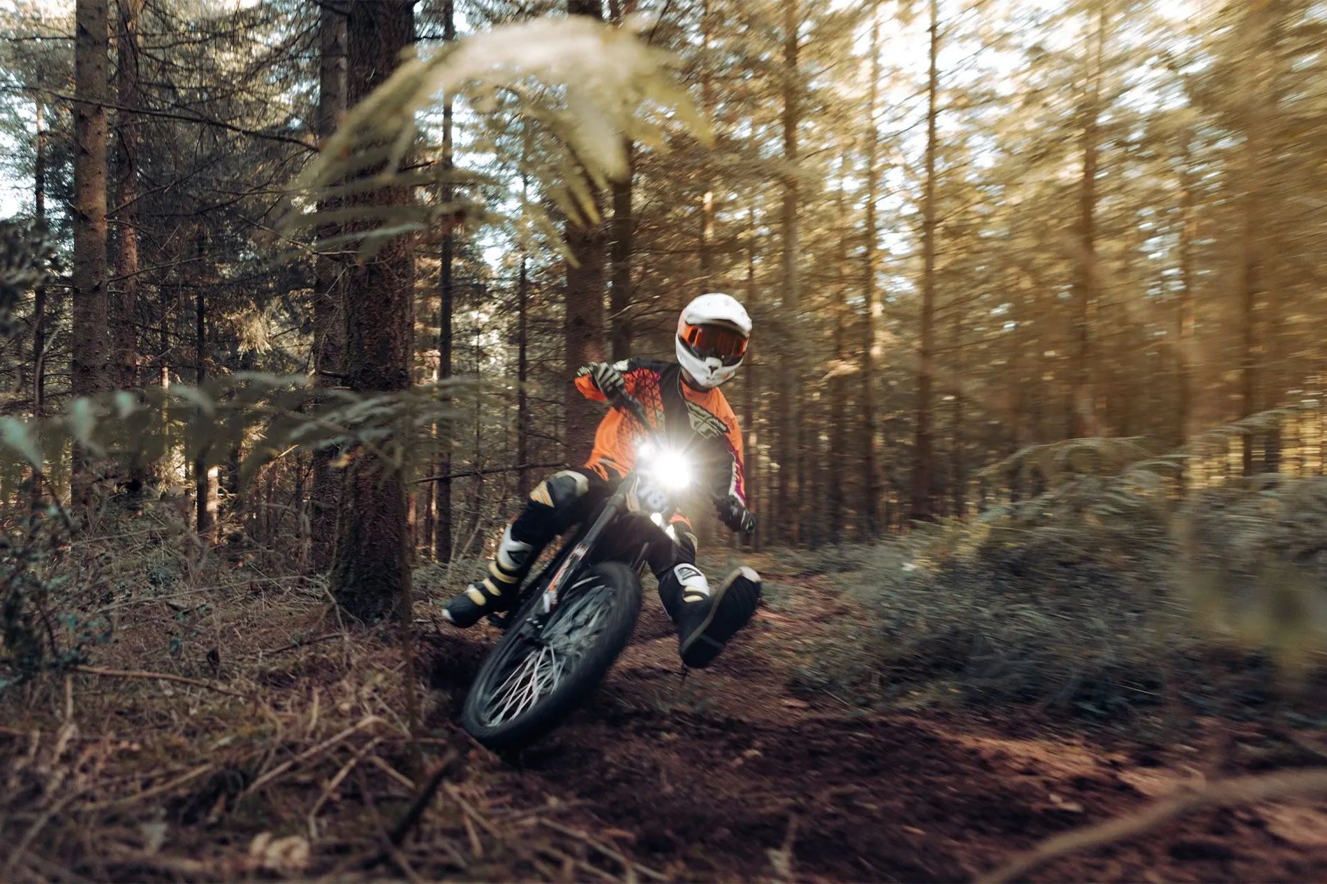 Talaria Bikes - Unleash Freedom | Israel