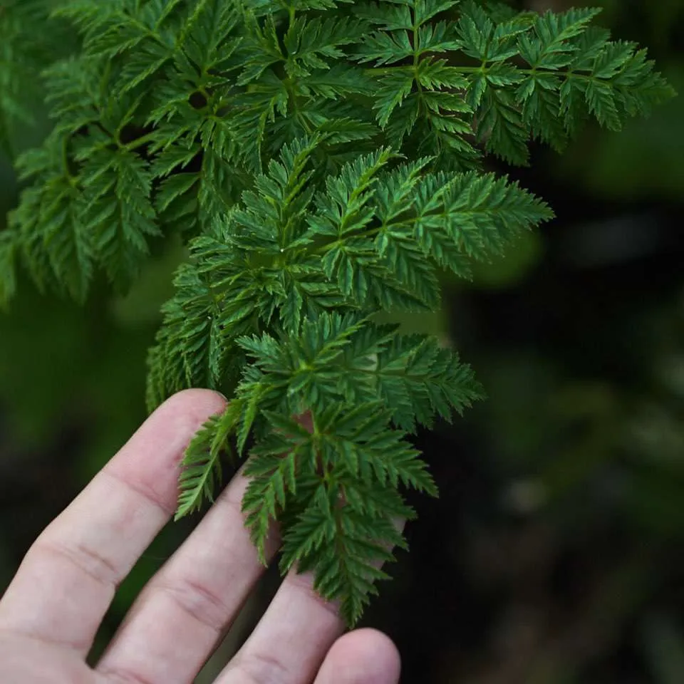 Artistree Home Design Studio and Construction Company