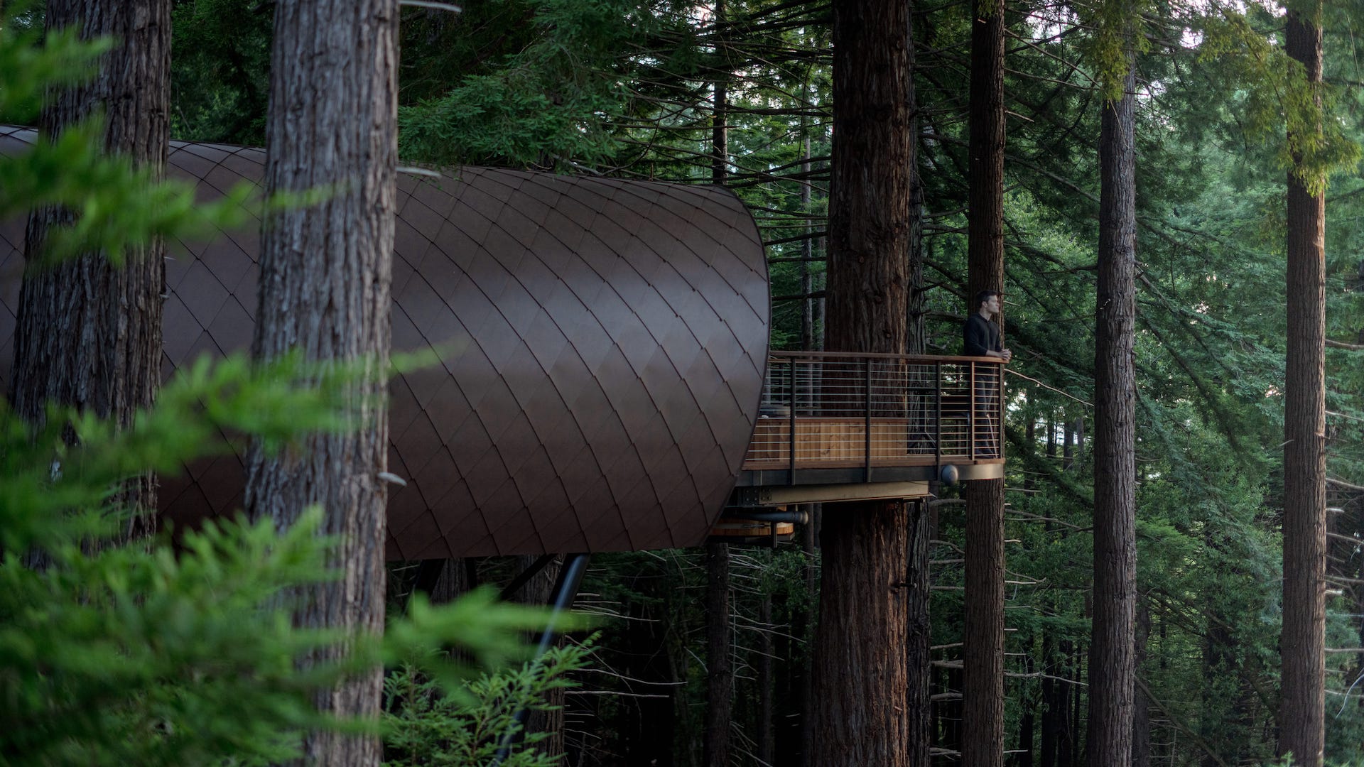 Spyglass (Hometree) | Our Treehouse Projects | Artistree Home
