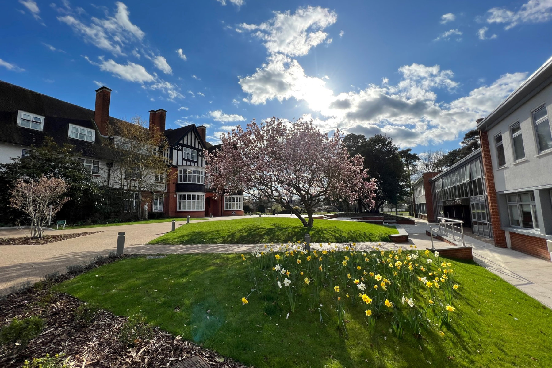 Reed's School | Attain