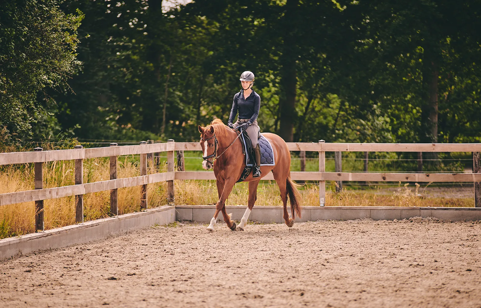 Gut Rehrhof | Urlaub mit eigenem Pferd in der Heide
