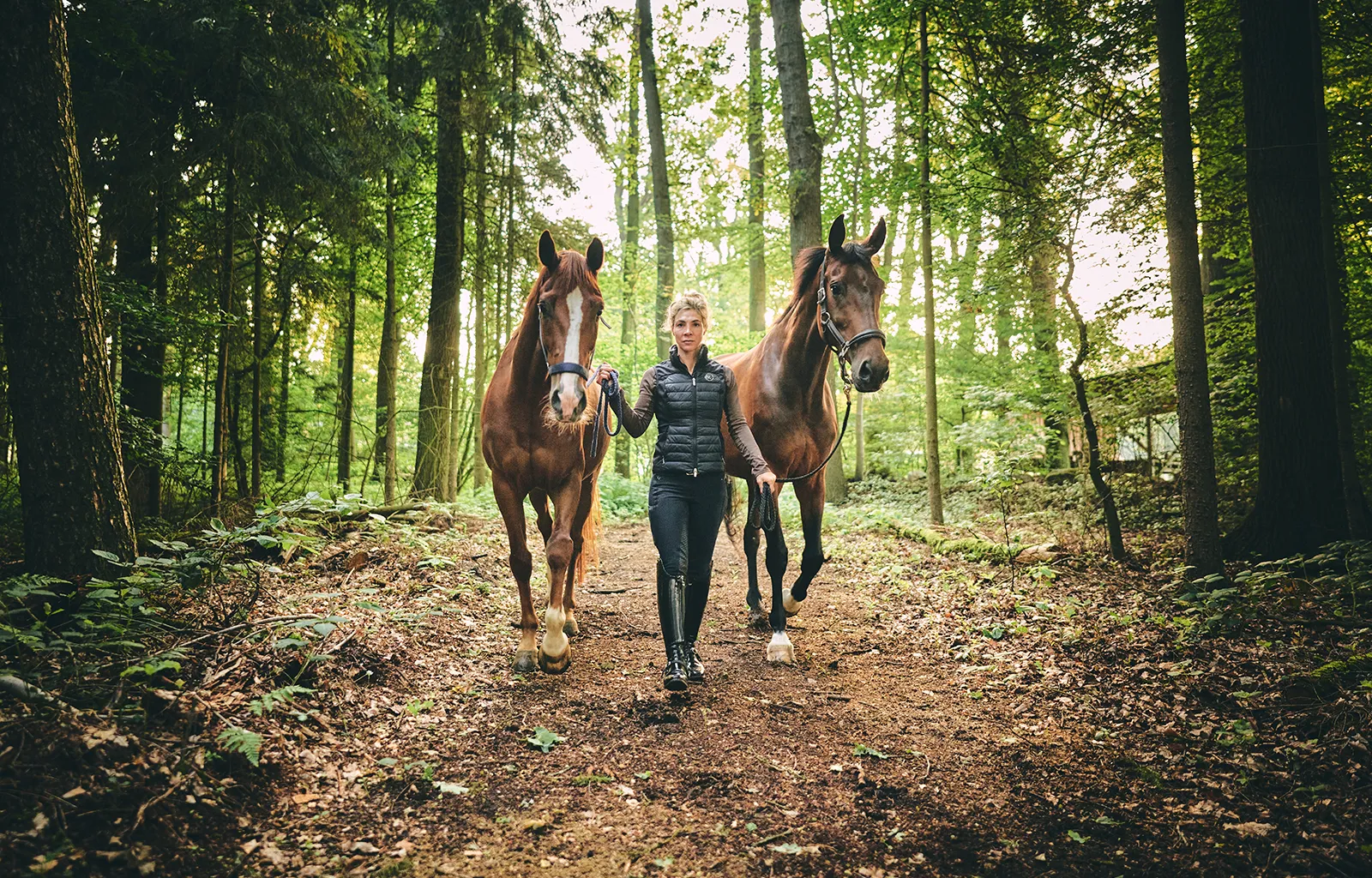 Gut Rehrhof | Urlaub mit eigenem Pferd in der Heide