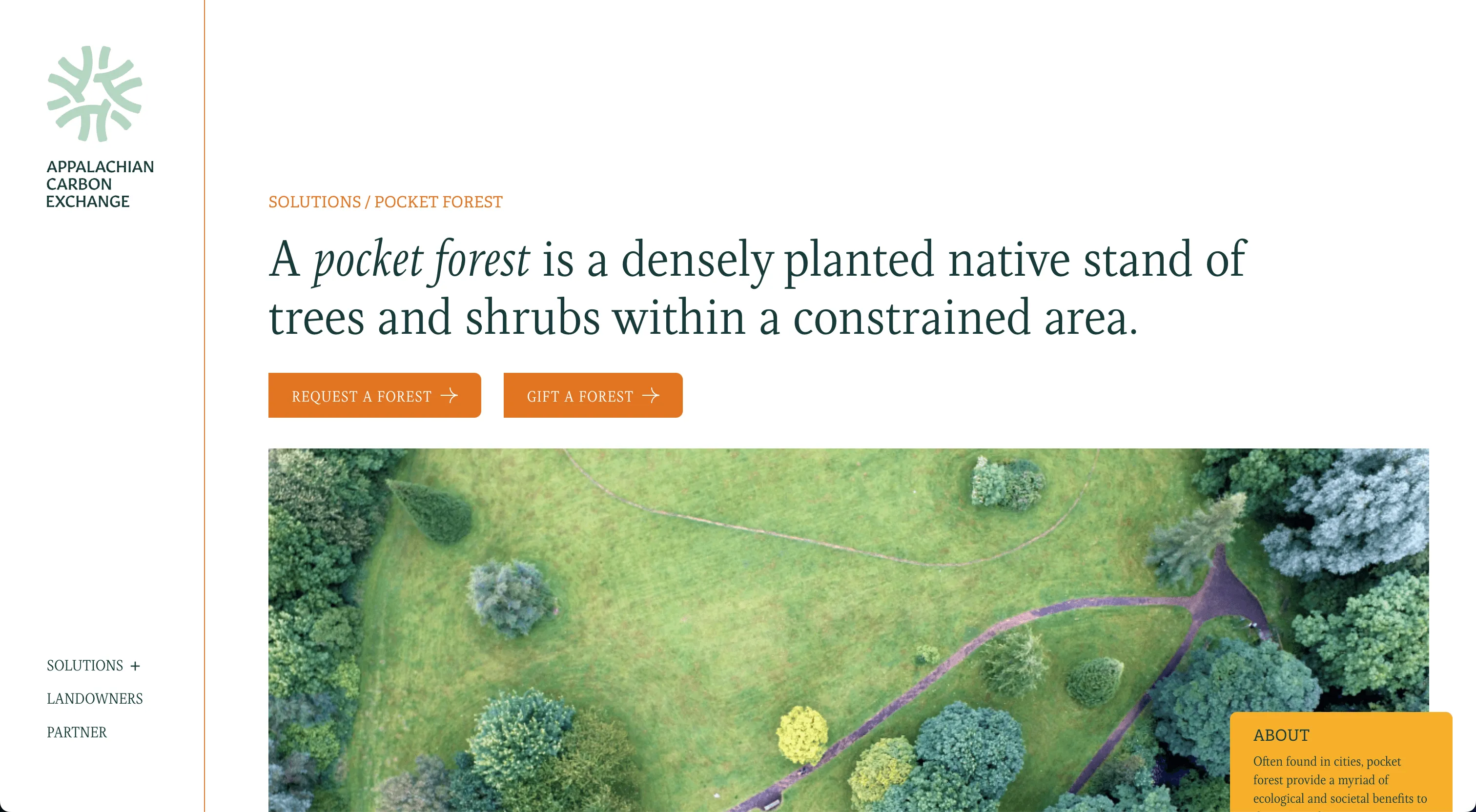 Pocket Forests | Appalachian Carbon Exchange