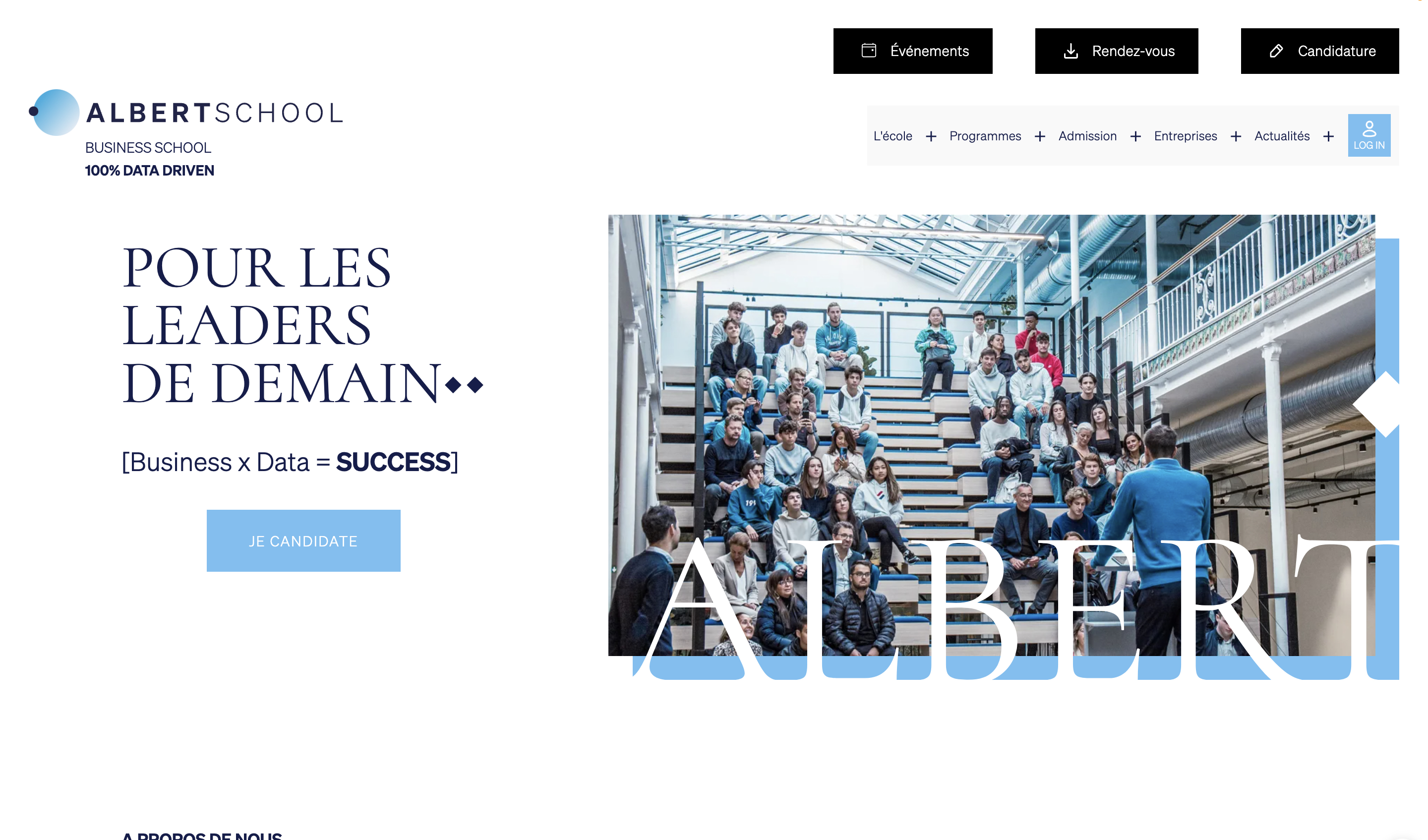 Albert School | Codelius