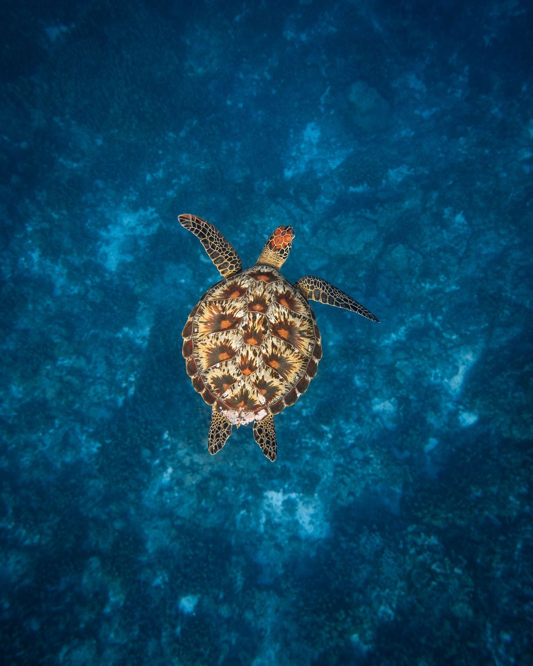 Activities - Aquarium of Guam