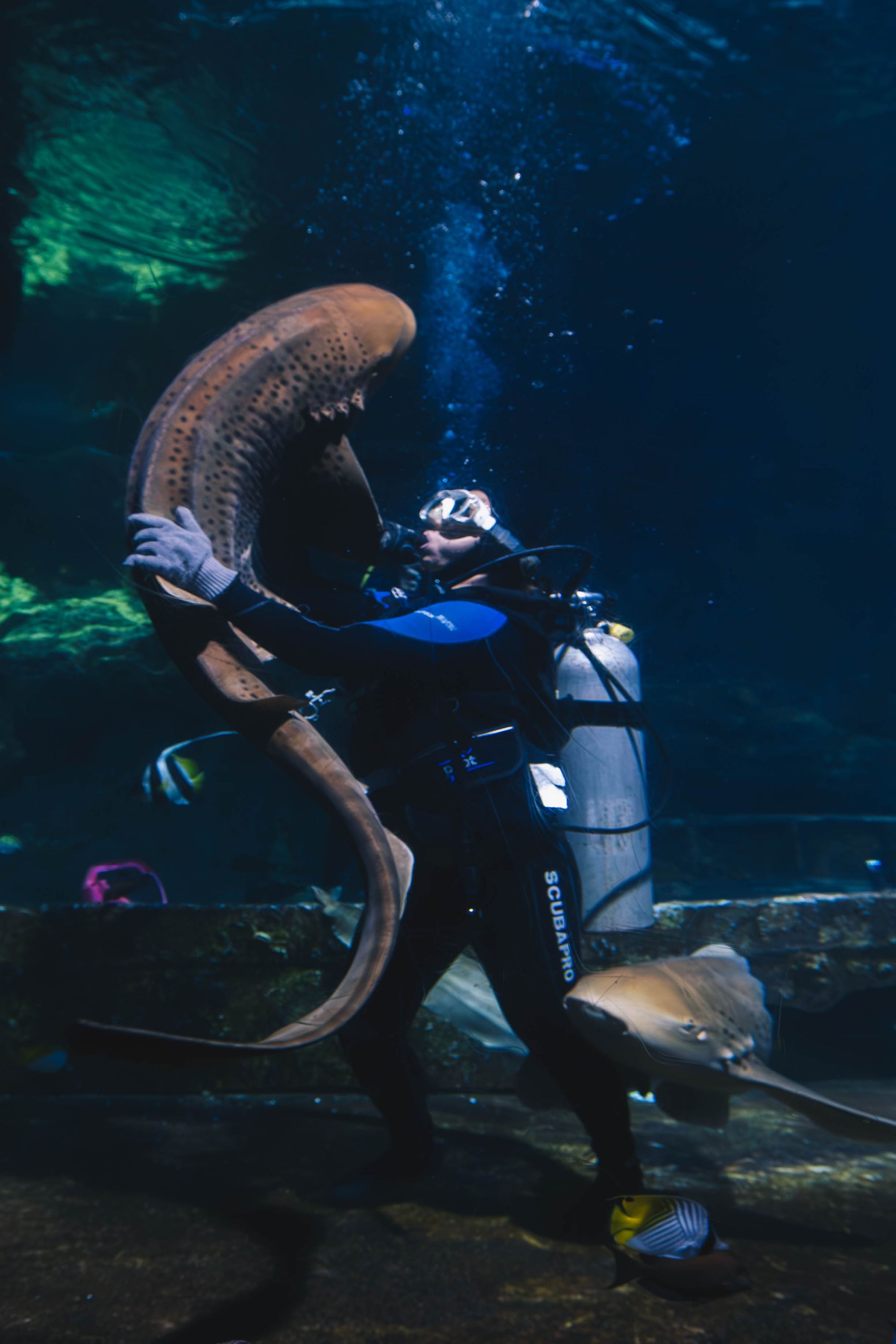 Home - Aquarium of Guam