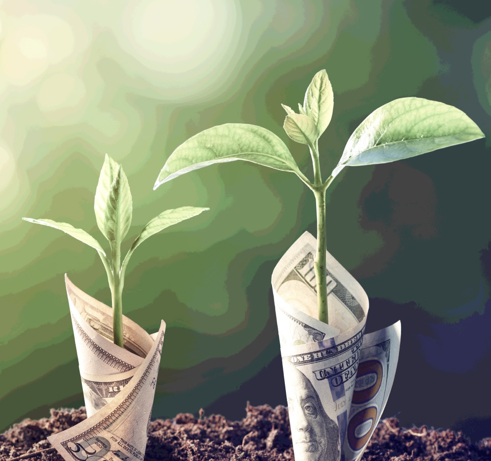 Depositors | IntraFi®