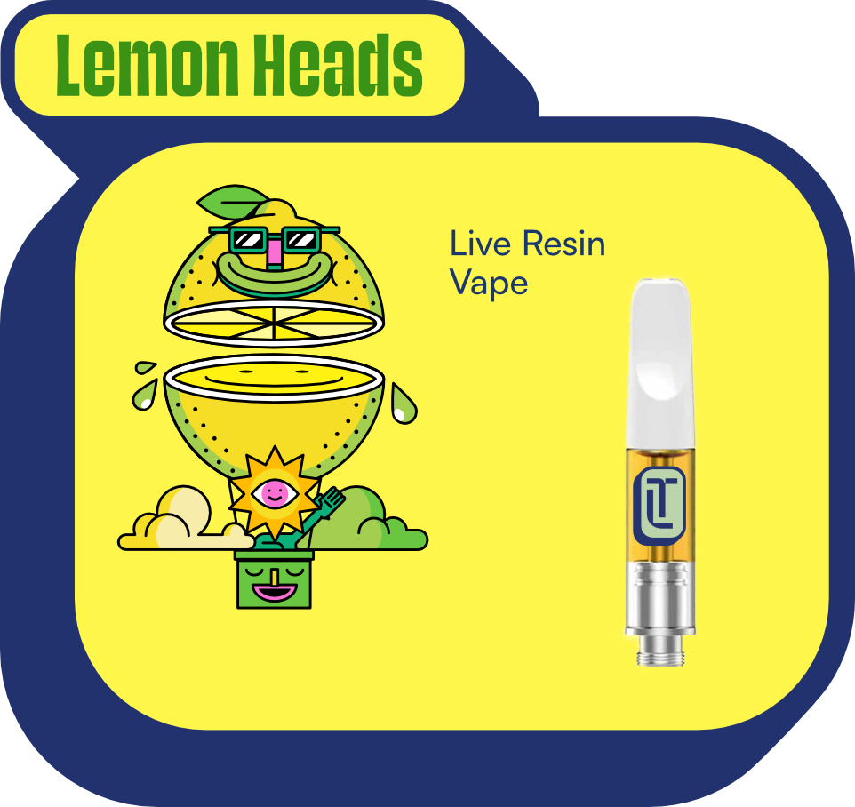 Terra official website