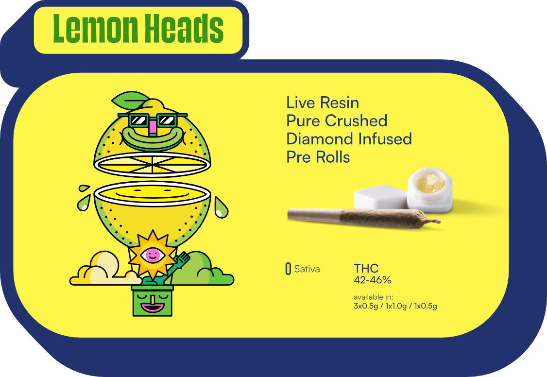 Terra official website