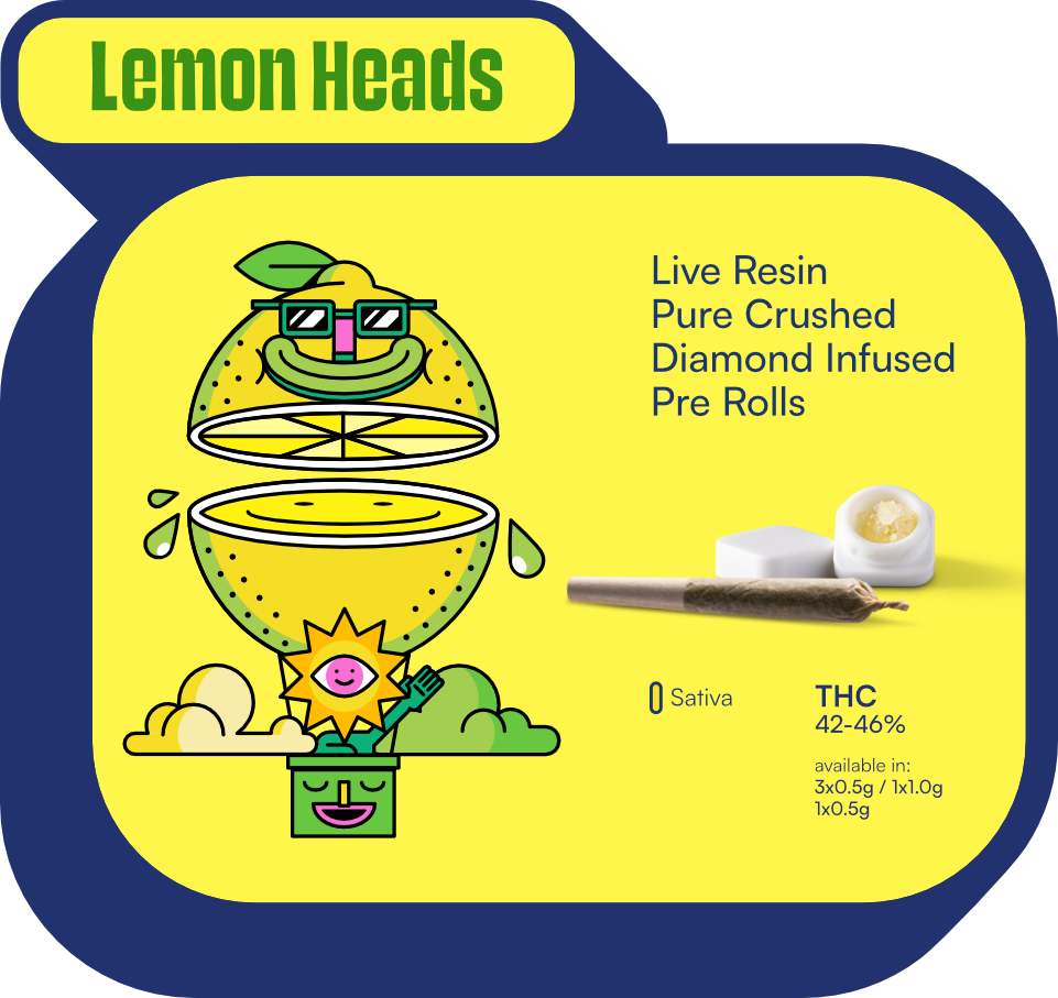 Terra official website