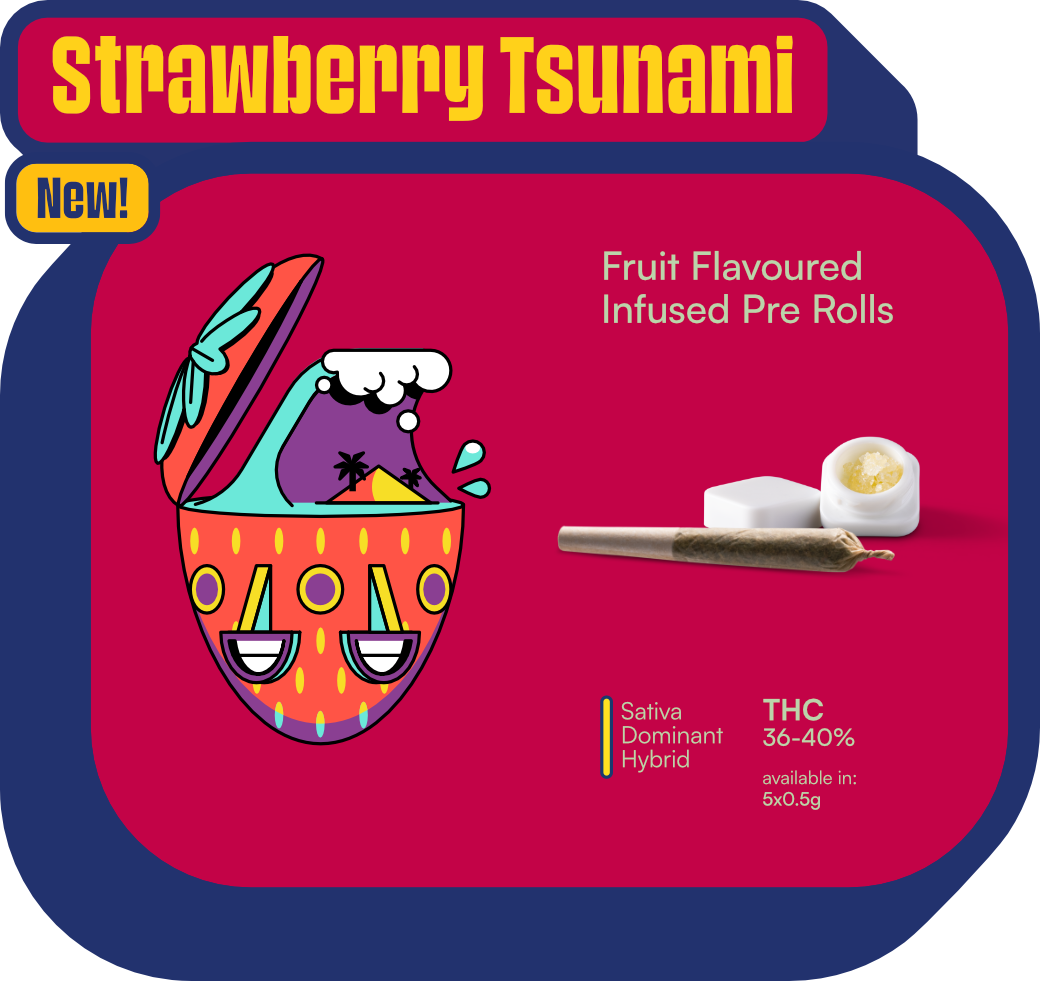 Terra official website