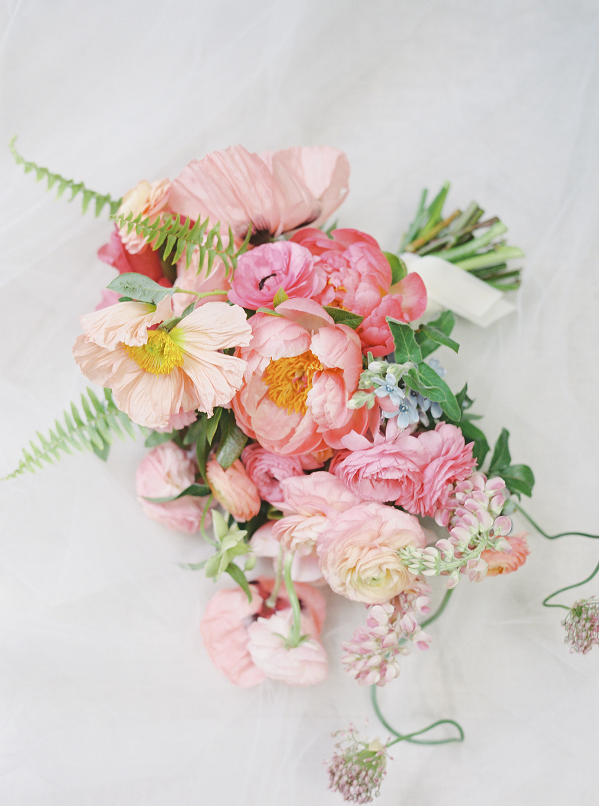 Danielle & Dan - A.P. Bio