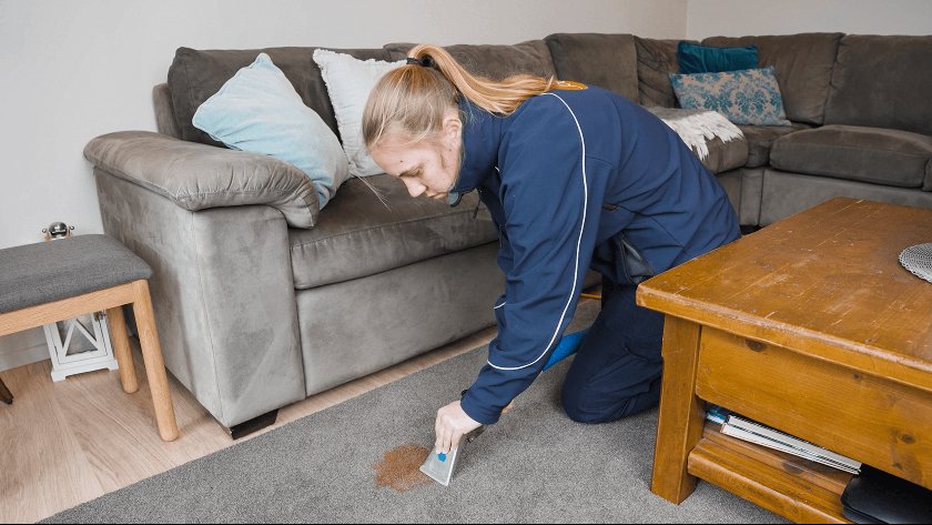 Post-Holiday Clean-up Made Easy | Stain Treatment | JAE