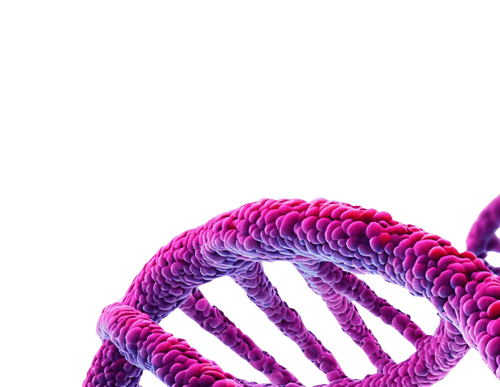 Careers | Deep Origin