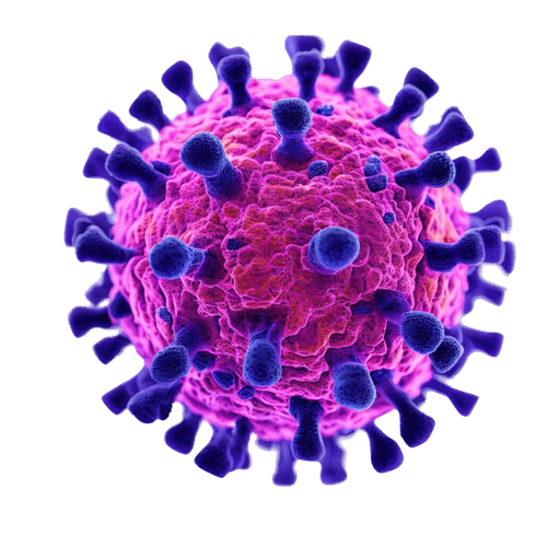 Contact us | Deep Origin