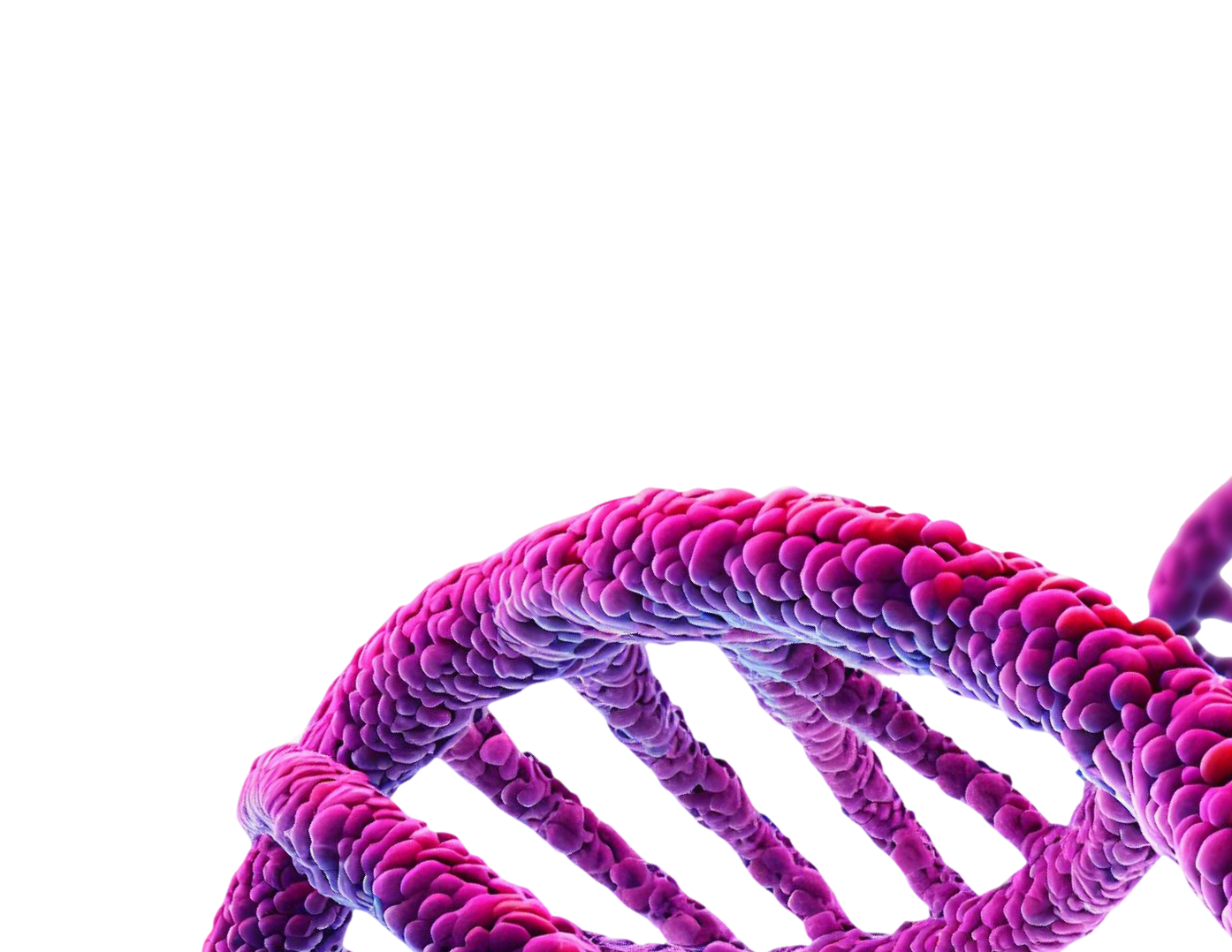 Careers | Deep Origin