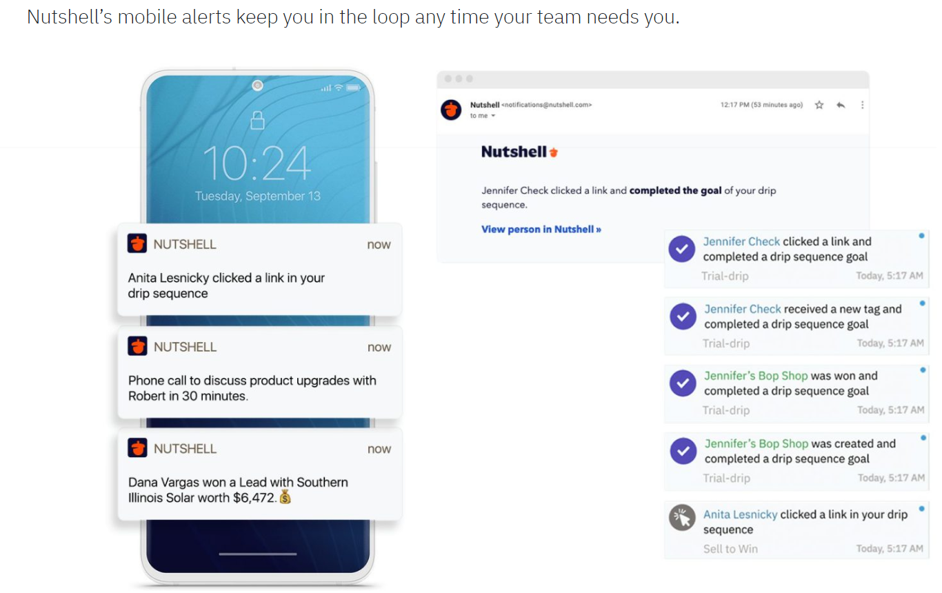 Nutshell Review: What You Need to Know Before You Buy
