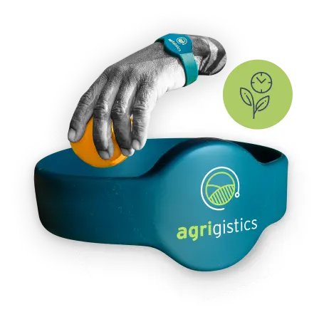 Pricing: Time and Attendance, Job Costing, and Payroll