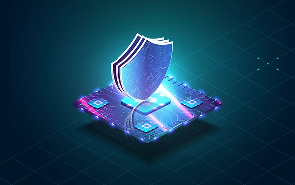 Building Secure Software