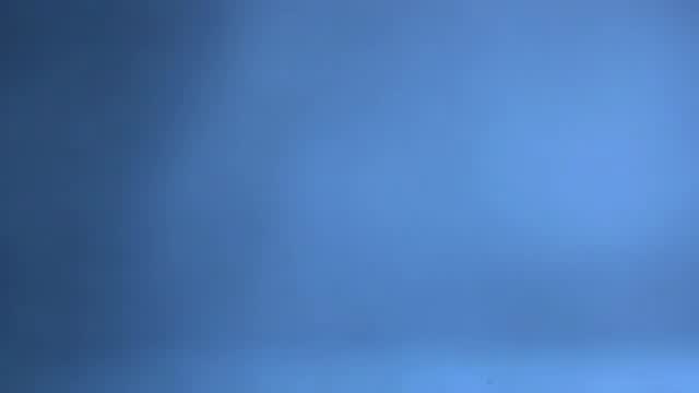 BMI – BLUE MANAGEMENT INSTITUTE