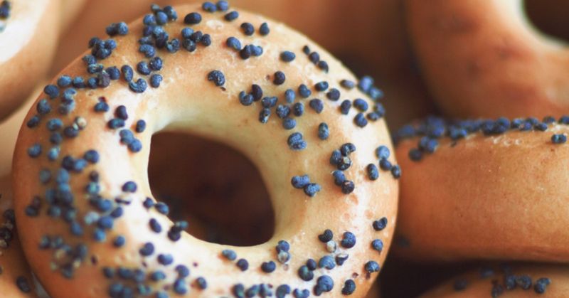 Can Poppy Seeds Affect Drug Tests? | Blog | 3rd Degree Screening