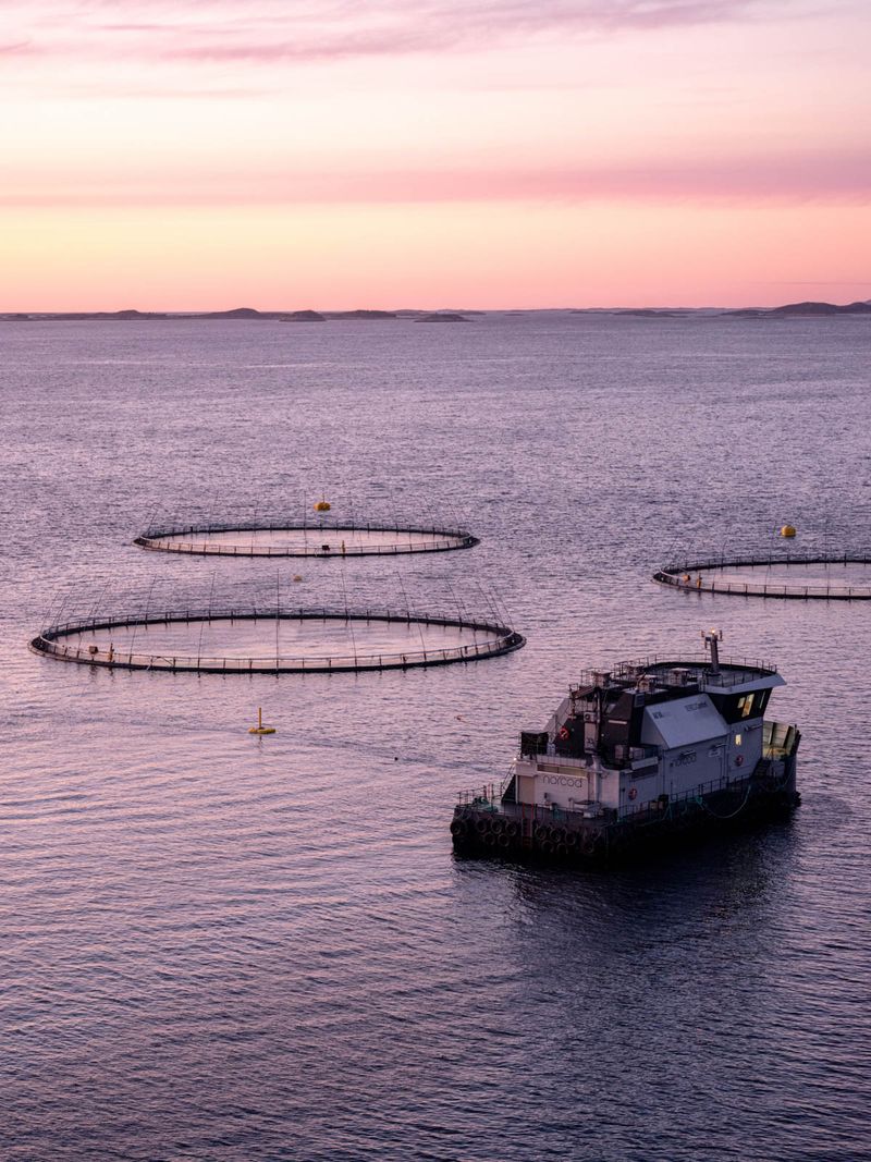 Sustainability | Norcod