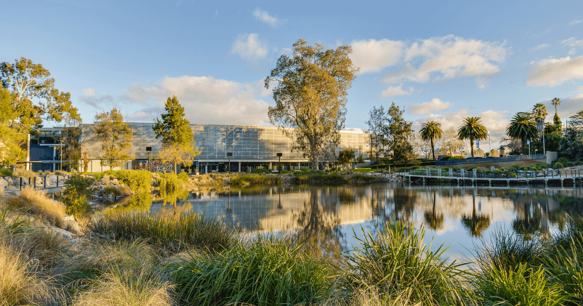 Embracing the Heart of the Riverina – The Patteets' Journey to Wagga ...