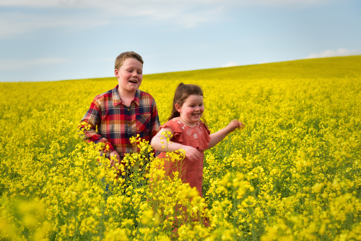 Make a Tree Change to Junee Shire Council - Country Change