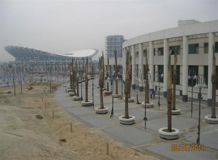 CGC | College of Basic Education